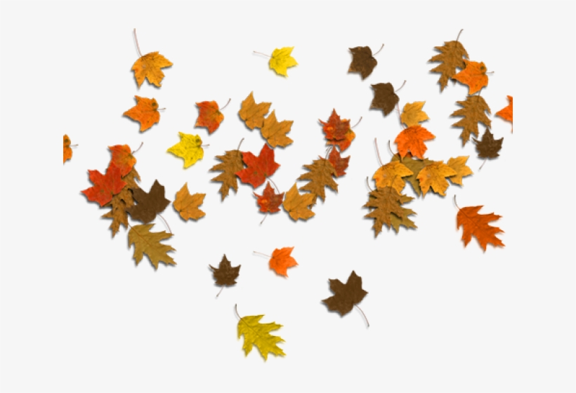 Autumn Leaves Clipart Corner Border - 640x480 PNG Download - PNGkit