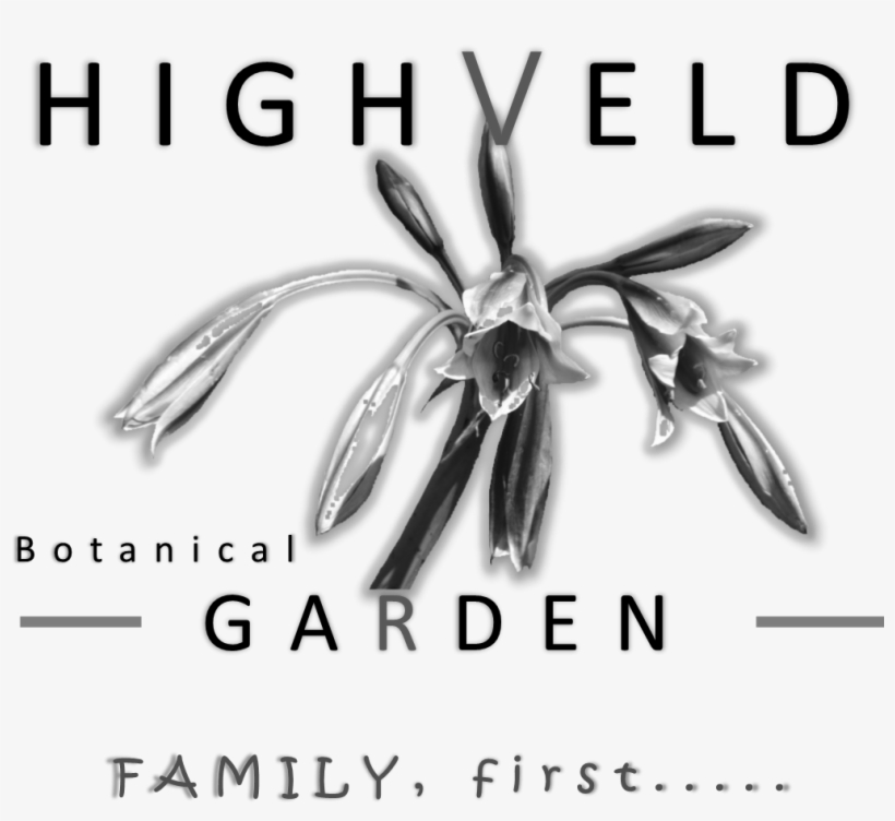 Cropped Hg Logo Plain Bw - 1093x979 PNG Download - PNGkit