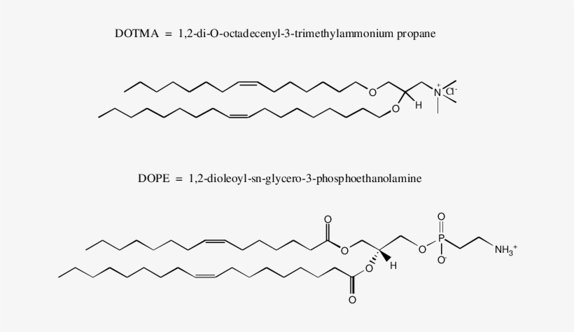 Download Transparent Chemical Structure Of Dotma And Dope Lipids ...