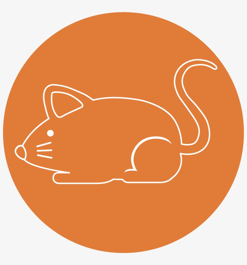 House Mouse - 800x800 PNG Download - PNGkit