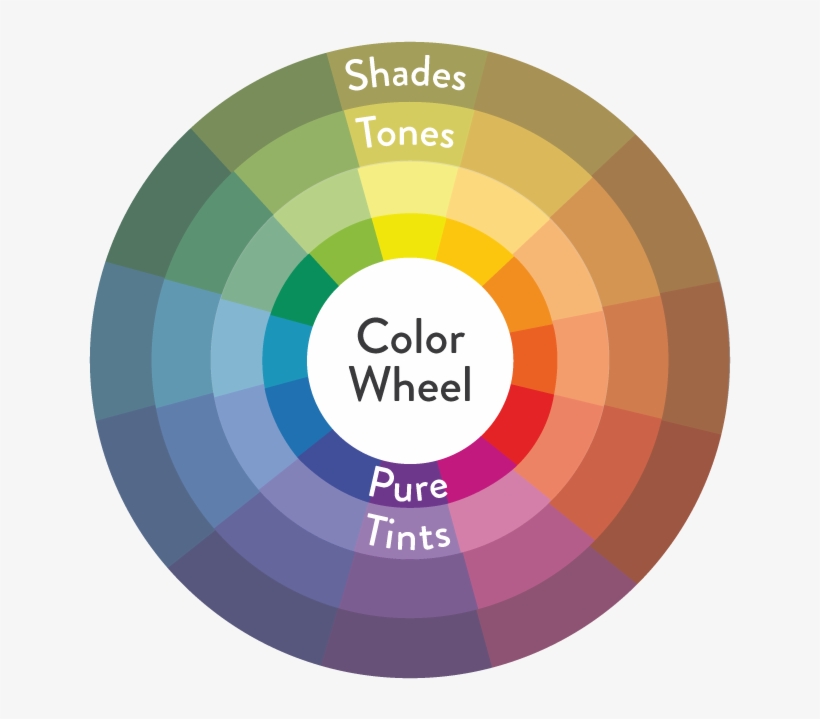 Pure Hues, Tints, Shades And Tones All In One Color - Tones Of Color ...