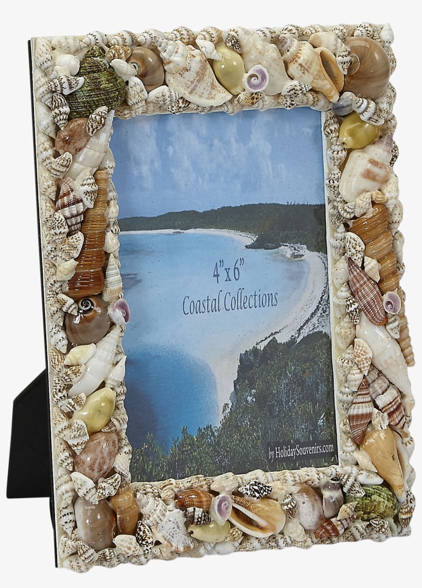 Photo Frame-natural Shells 4x6" - 1823x2450 PNG Download - PNGkit
