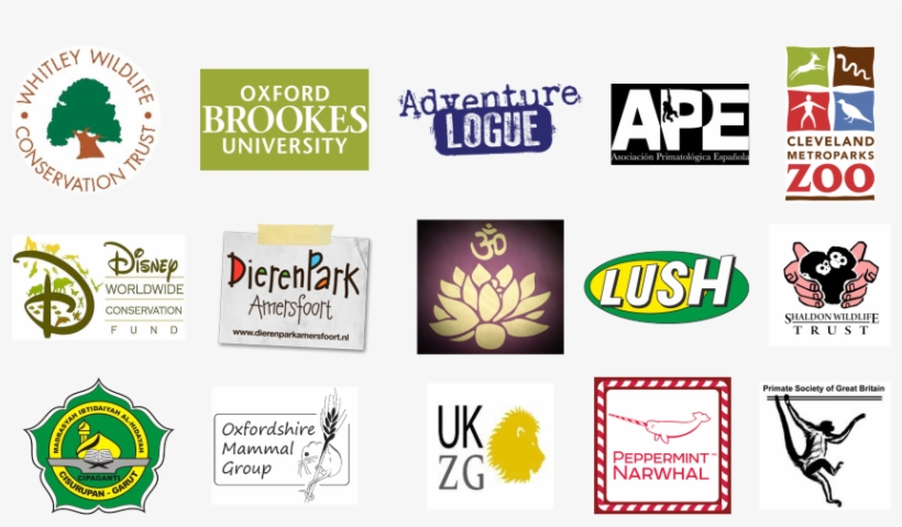 Logos Slow Copy - 900x500 PNG Download - PNGkit