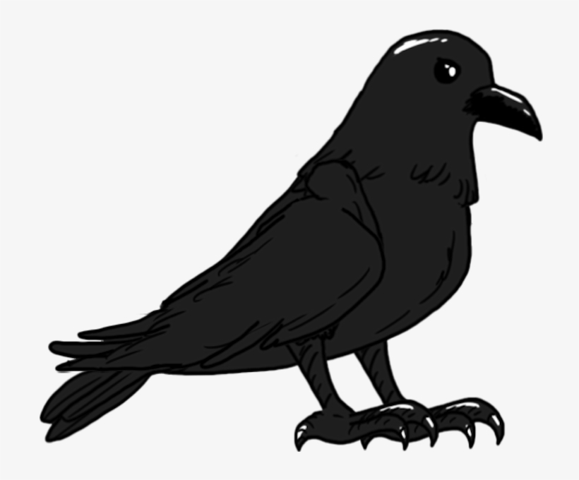 Crow - Spine - 718x600 PNG Download - PNGkit