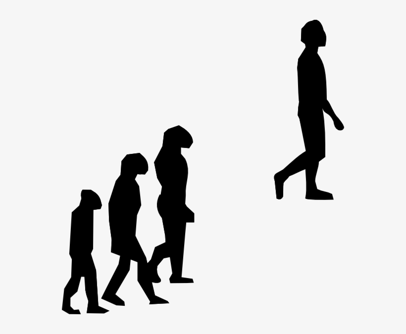 Evolution Clip Art At Clker - 570x595 PNG Download - PNGkit