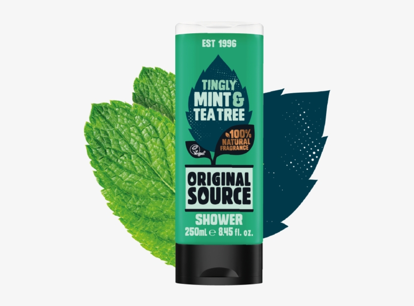 Mint & Tea Tree - 648x771 PNG Download - PNGkit