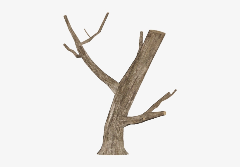 Image Dead Tree Log Picture Library - Dead Tree Log - 489x489 PNG ...