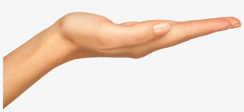 Hand Transparent - 891x366 PNG Download - PNGkit