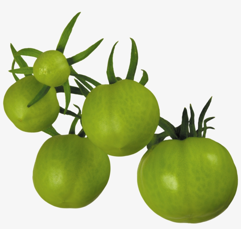 Tomato Png - Green Tomatoes Clipart Free - 2921x2643 PNG Download - PNGkit