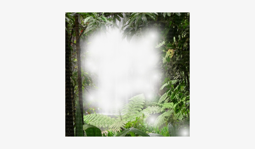 Forest Frame - Waterfall - 400x400 PNG Download - PNGkit