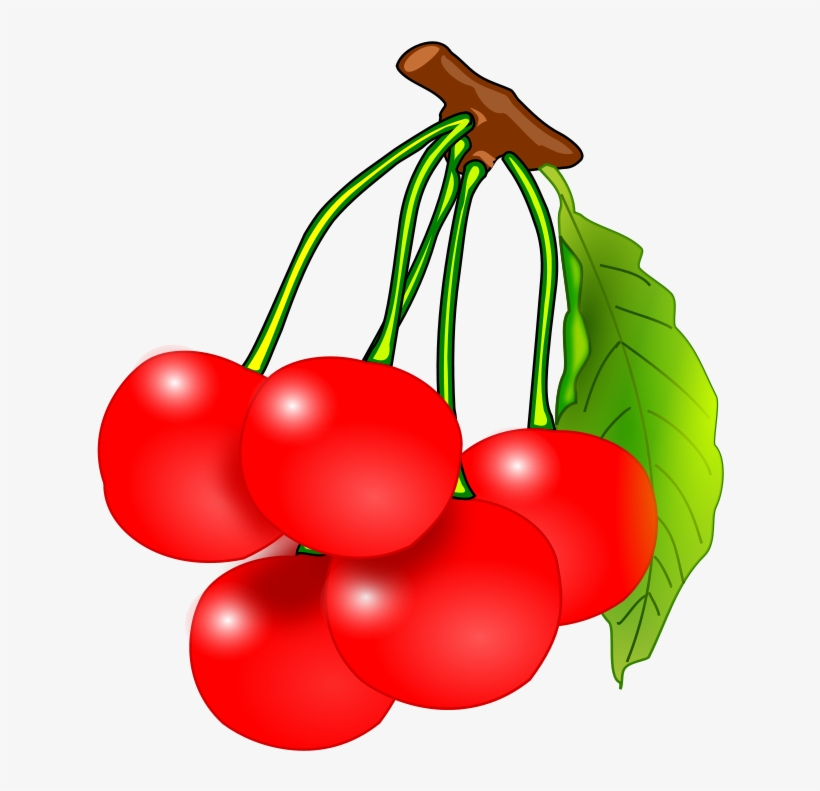 Fruit Clip Art - Red Cherries Clipart - 800x800 PNG Download - PNGkit
