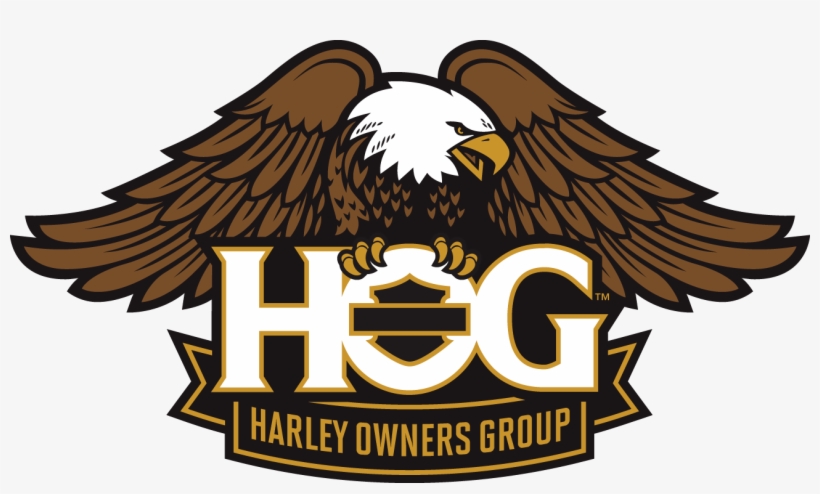 Inline 4a632dd2c158 - Harley Davidson Hog Logo - 995x552 PNG Download ...