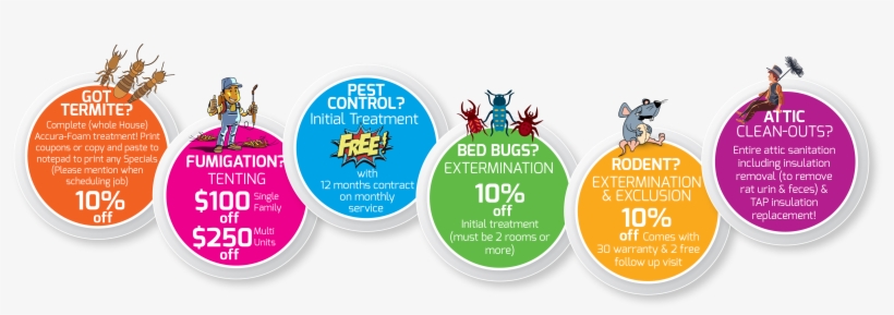 Termite - 4871x1489 PNG Download - PNGkit