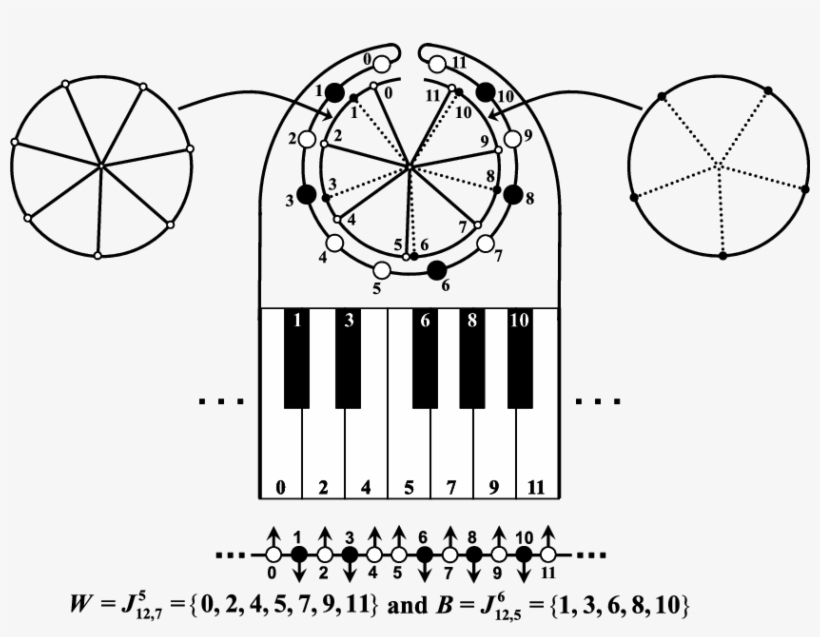 Concentric Circles, Dinner Table, Piano Keyboard, And - 841x613 PNG ...