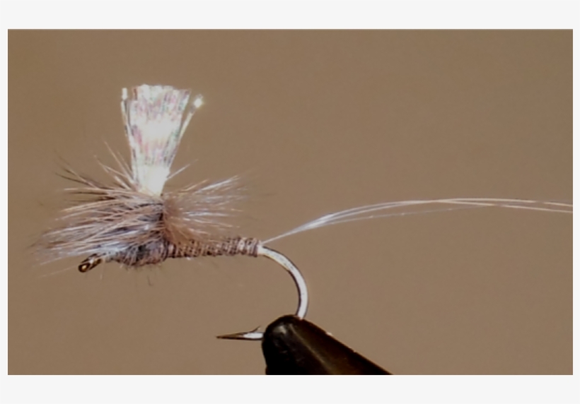 Grey Crystal Drake - 800x800 PNG Download - PNGkit