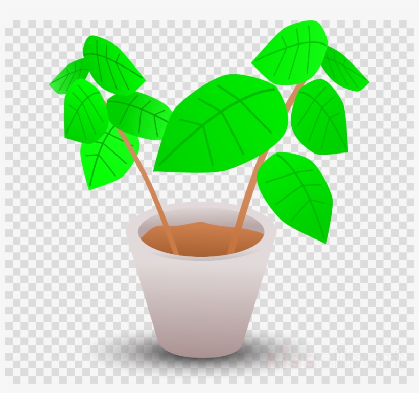 Plant In Pot Clipart Flowerpot Clip Art - 900x800 PNG Download - PNGkit