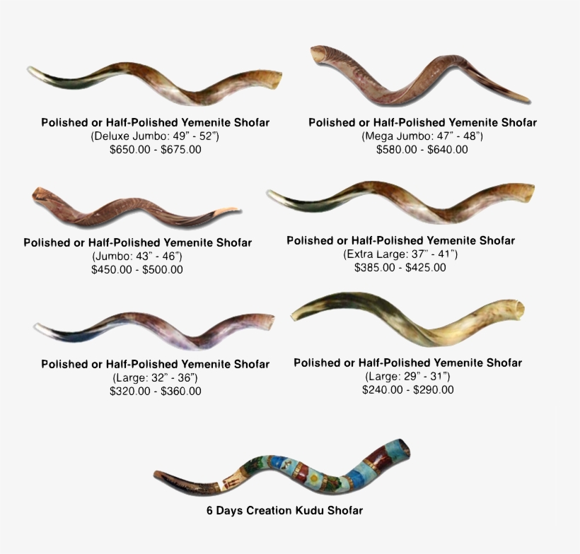 Shofar Png - 768x703 PNG Download - PNGkit