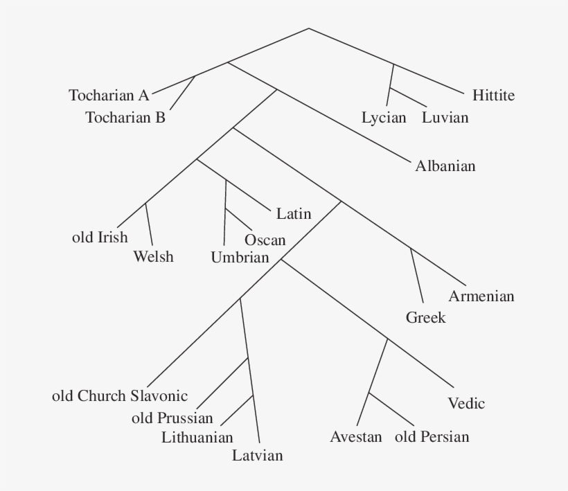 Download Transparent 'one Of The Best Trees With Germanic Omitted' - PNGkit