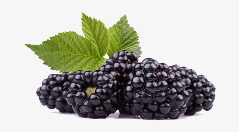 Black Raspberries Png Hd - Dinner Lady Blackberry Crumble - 765x510 PNG ...