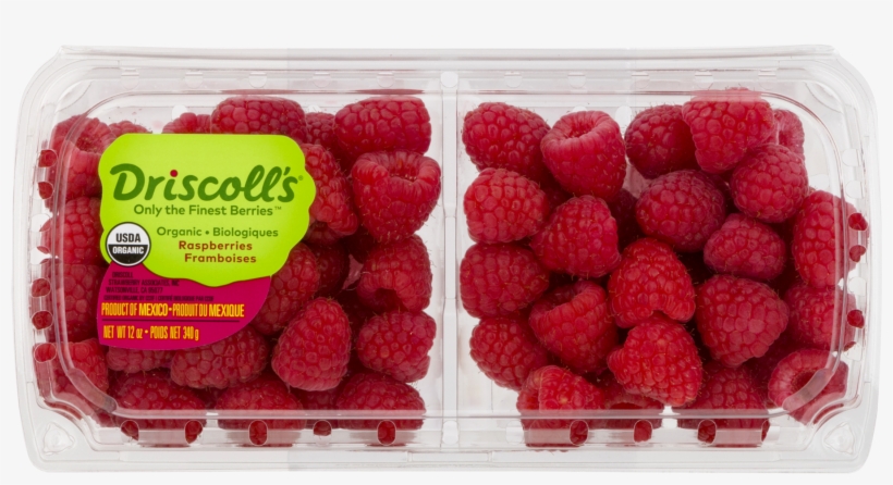 Wine Raspberry - 1800x1800 PNG Download - PNGkit