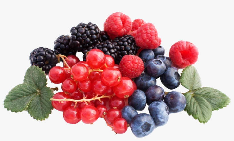 Download Berries Png Image - Berries Png - 500x289 PNG Download - PNGkit