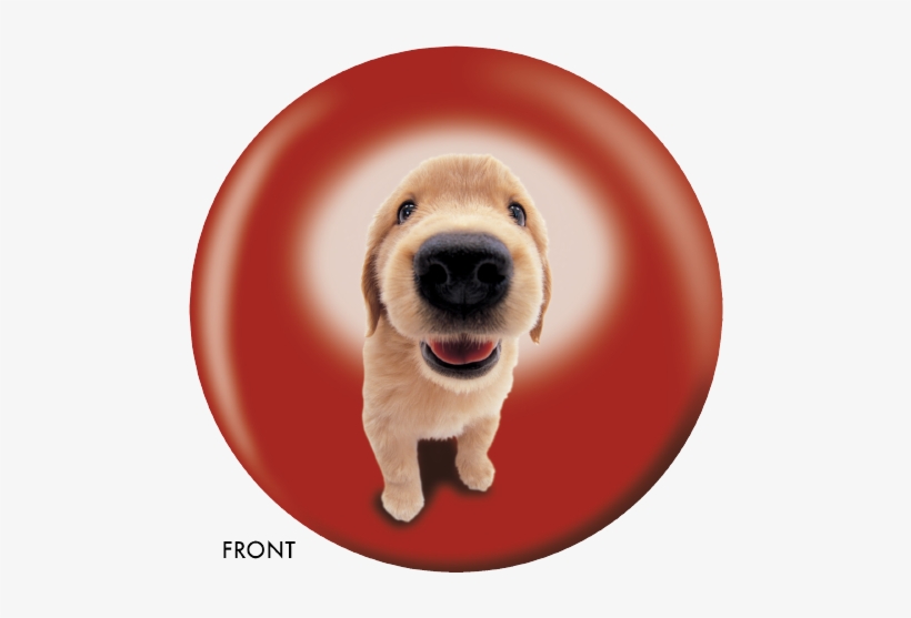 Louis Xvi (1754–1793), King Of France - 500x500 PNG Download - PNGkit