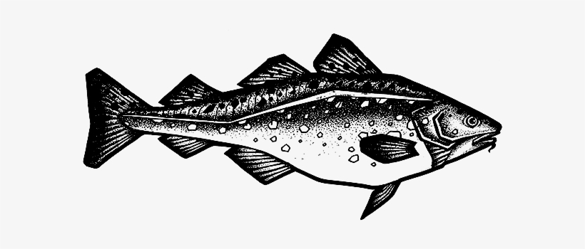 Download Transparent Cod - Call Of Duty - PNGkit