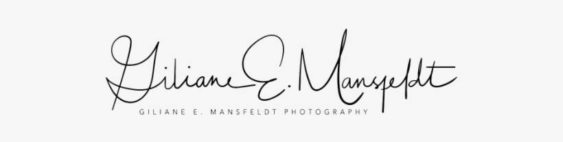 Logo - Calligraphy - 525x350 PNG Download - PNGkit