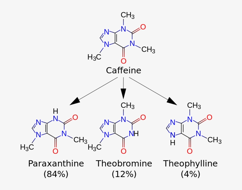 Caffeine Molecule Png - 710x599 PNG Download - PNGkit