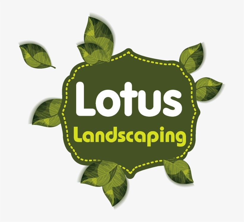 Lotus Logo Png - 699x668 PNG Download - PNGkit