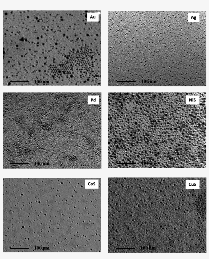 Tem-micrographs Of Different Metal And Metal Sulfide - 850x1009 PNG ...