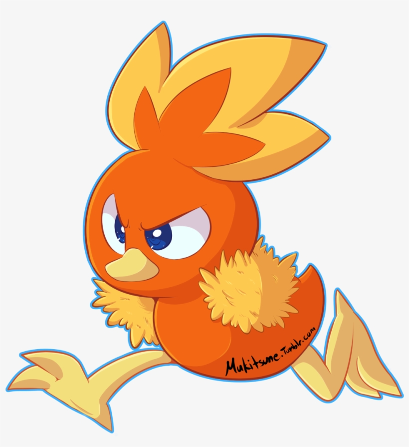 Torchic - 1034x1008 PNG Download - PNGkit