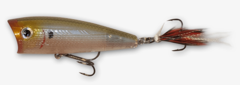 Bloody Ghost Minnow - 2139x790 PNG Download - PNGkit