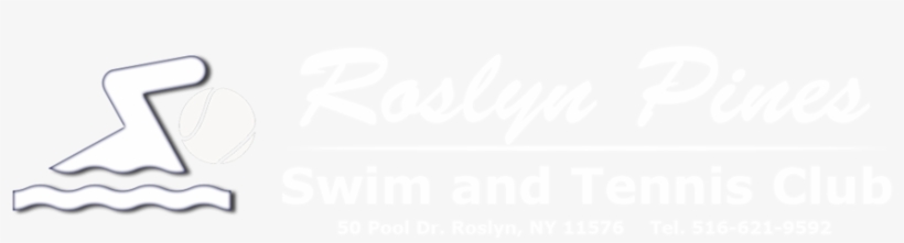 Adult Swim Logo Png - 1000x274 PNG Download - PNGkit