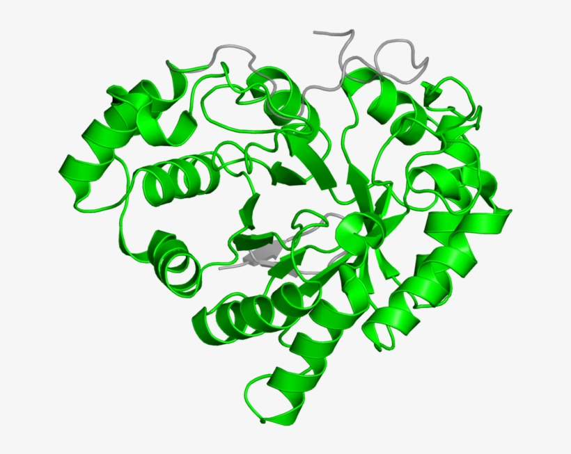 Aldo Logo Png - 800x800 PNG Download - PNGkit