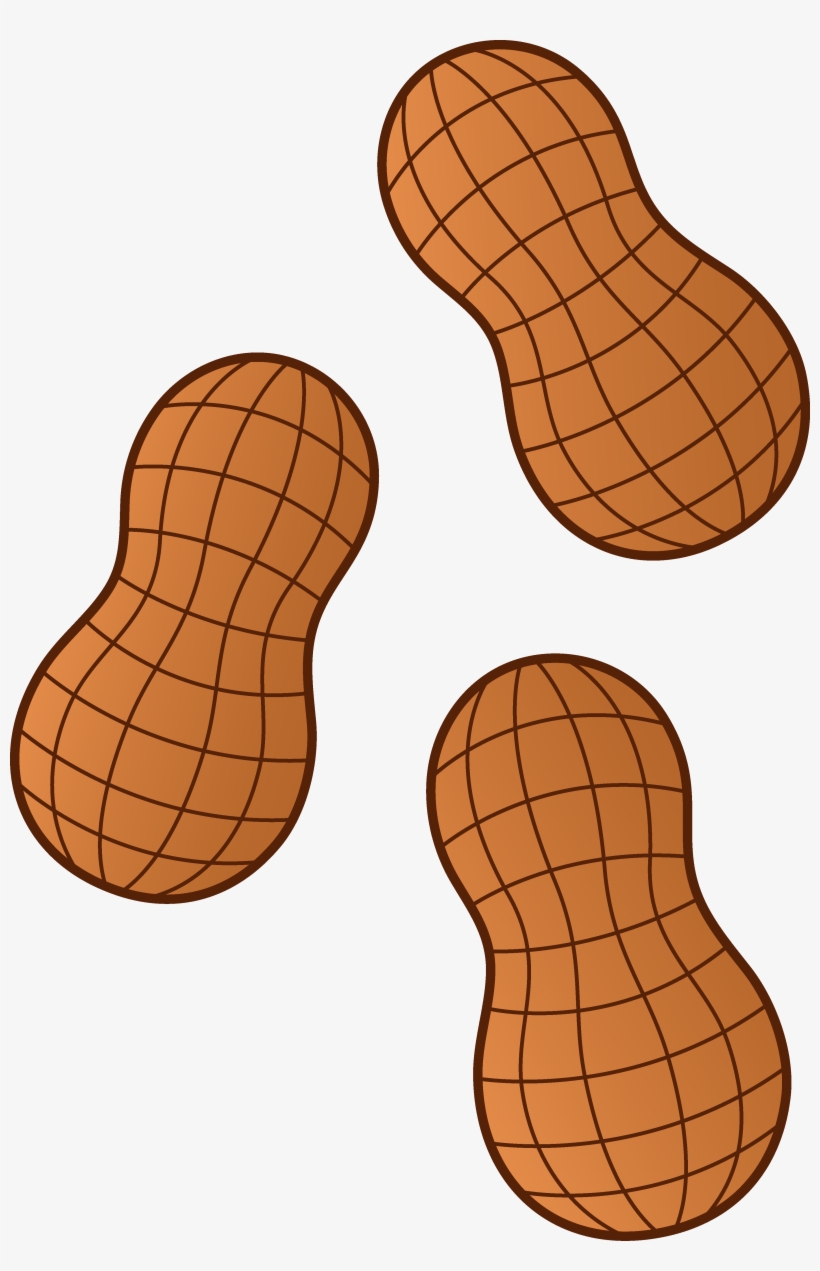 Transparent Peanut Clipart - Peanut Clipart - 3567x5357 PNG Download ...