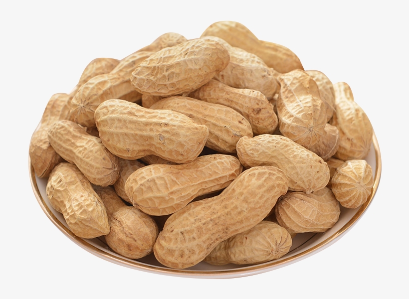 Download Transparent Peanut - PNGkit