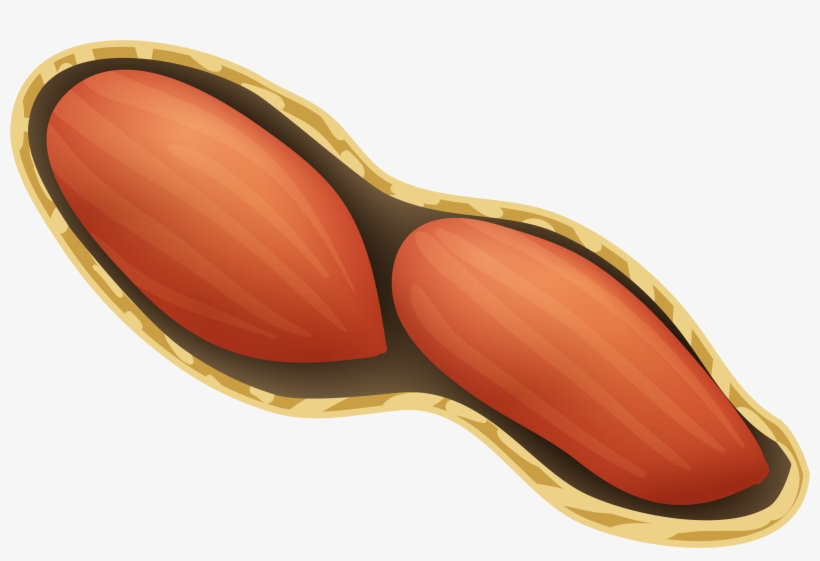 Peanut Png - 6145x4111 PNG Download - PNGkit