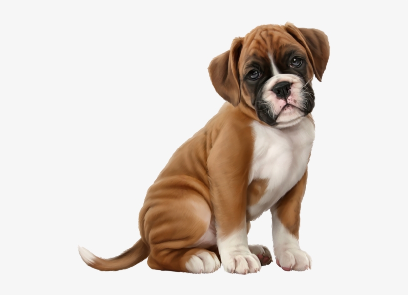 Pin By Lidia On Zwierzęta Verymany / Verymany Animals - 3d Tubes Dog ...