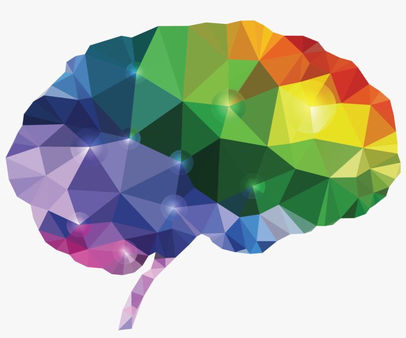 16 Neuro 05931 Brain - 1000x801 PNG Download - PNGkit