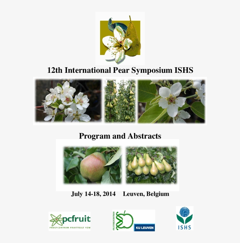 Pdf - 595x842 PNG Download - PNGkit