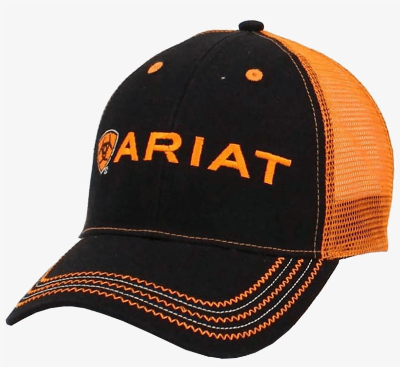 Ariat Logo Png - 1500x1308 PNG Download - PNGkit