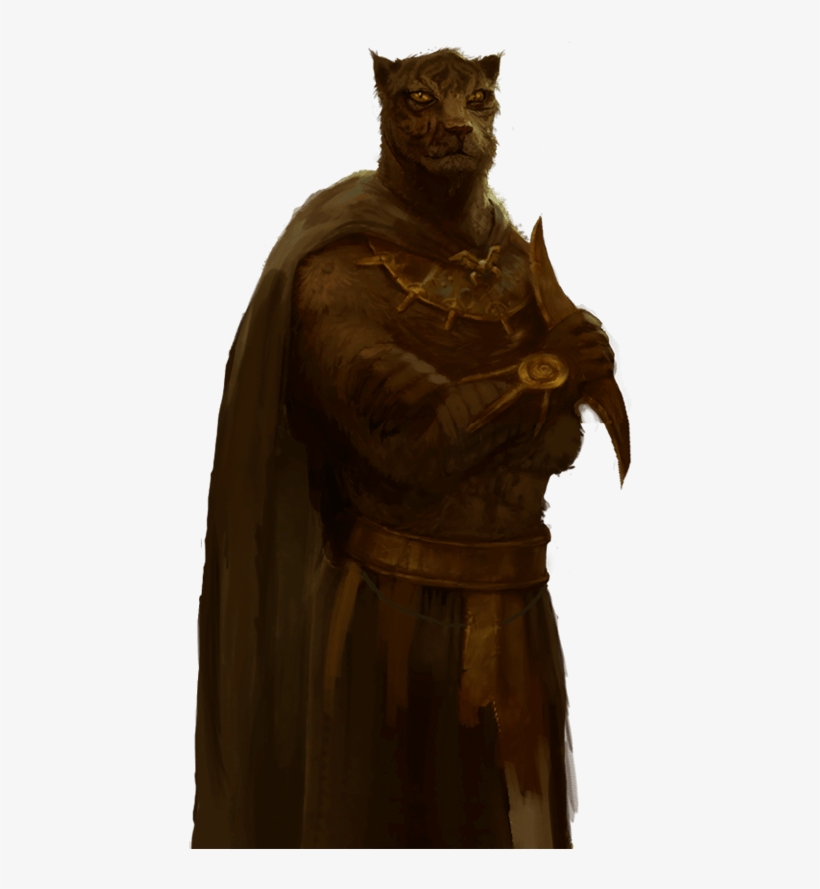 Necromancer Png - 480x808 PNG Download - PNGkit