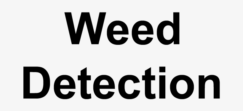Dank Weed Png - 1200x900 PNG Download - PNGkit