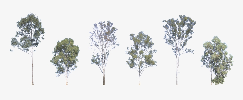 Download Transparent As You Can See Above, The Tropical-alt File Is ...