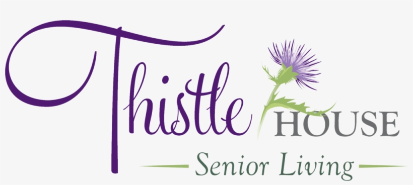 Thistle Png - 1000x401 PNG Download - PNGkit