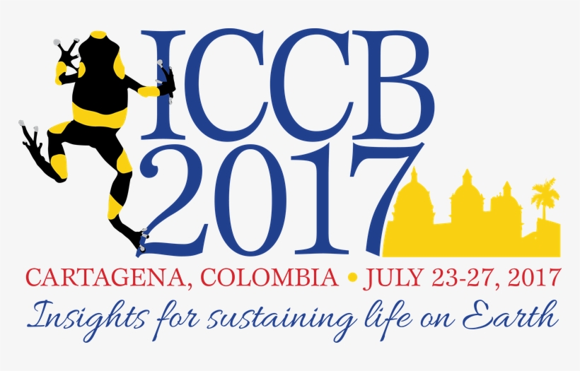 Selected - 768x445 PNG Download - PNGkit