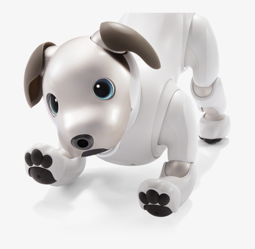 New Aibo Was Released - 810x720 PNG Download - PNGkit