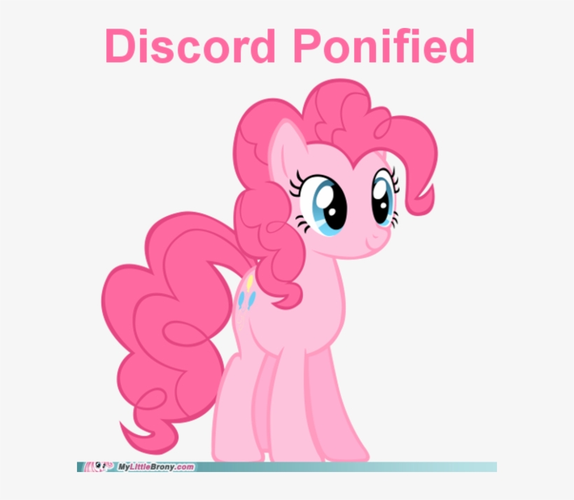 Discord Mlp Png - 600x635 PNG Download - PNGkit