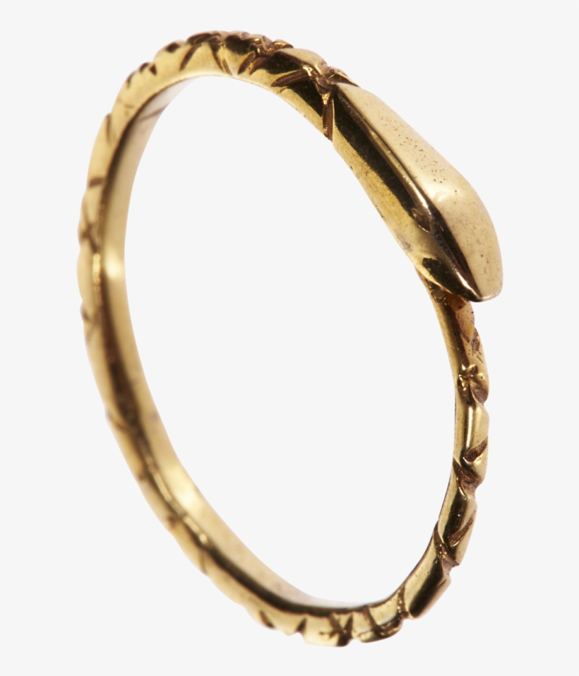 The Ouroboros Eternity Snake 'with A Tail In It's Mouth' - 1024x1024 ...